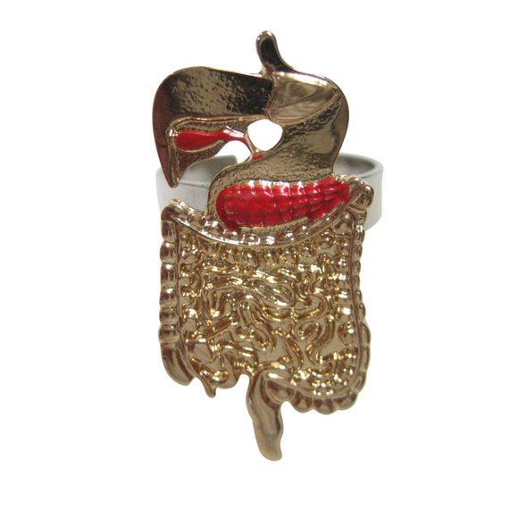 Kiola Designs | Jewelry | Gold Toned Anatomical Medical Intestines ...